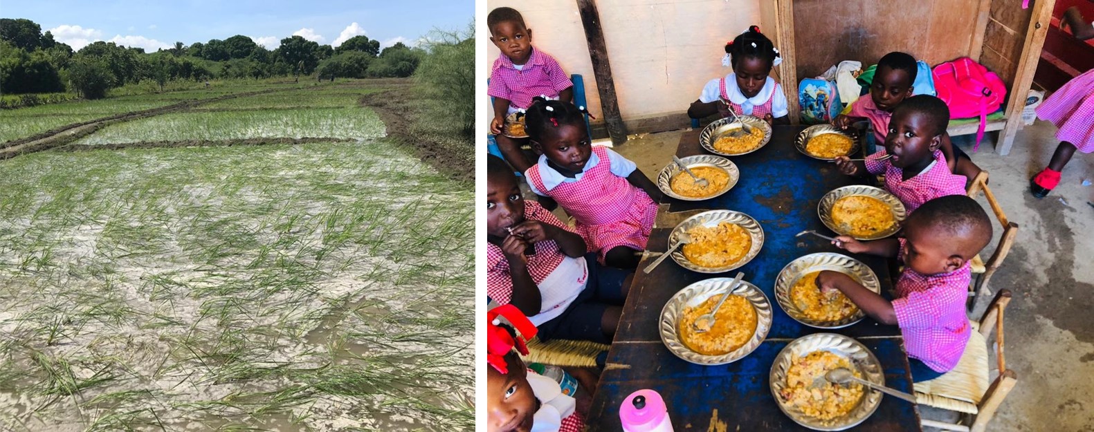 Pancakes for Solar – Health for Haiti